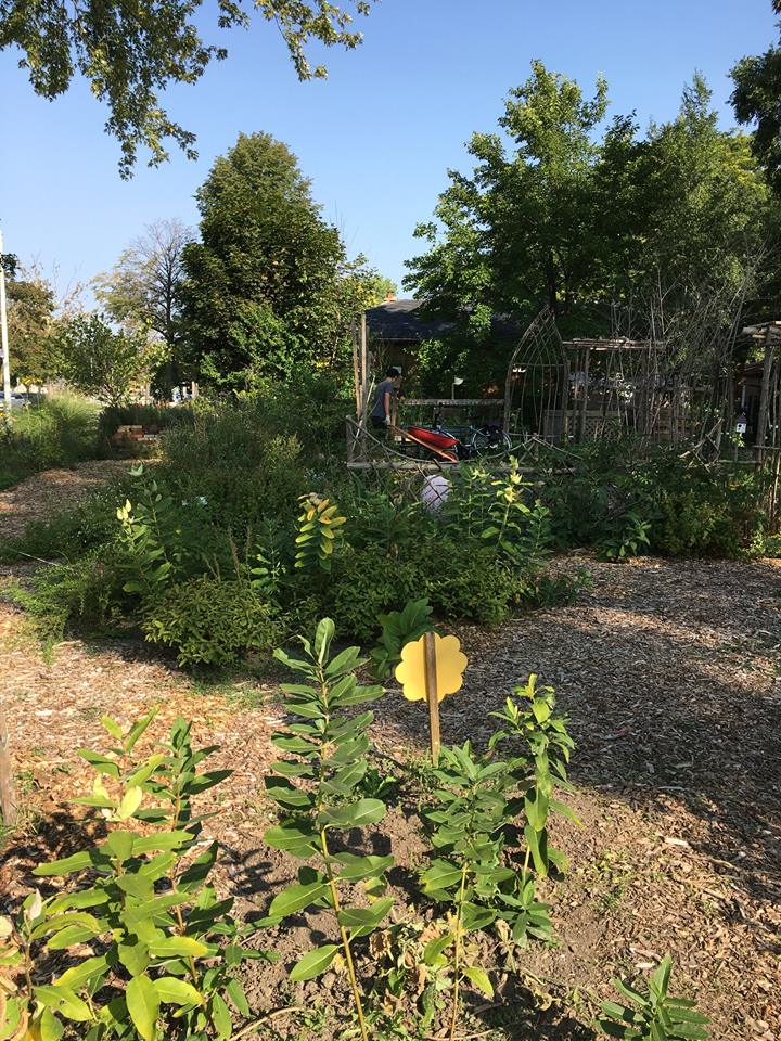 Garden Education | Campus Community Garden
