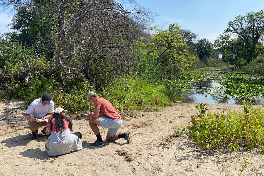 Participatory science project to engage community in monitoring Great ...