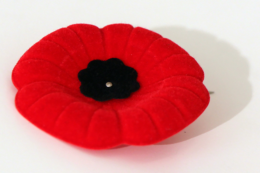 Reminder: campus Remembrance Day service today | DailyNews