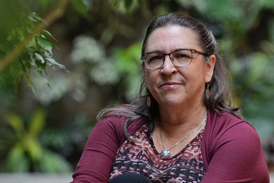 Reading list a guide to Indigenous literature | DailyNews