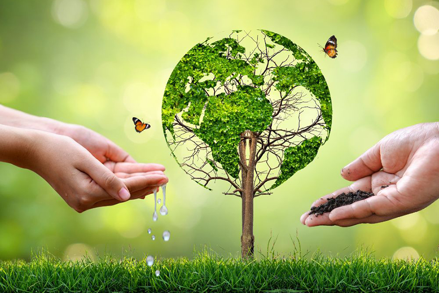 Observances to promote healthy environment | DailyNews