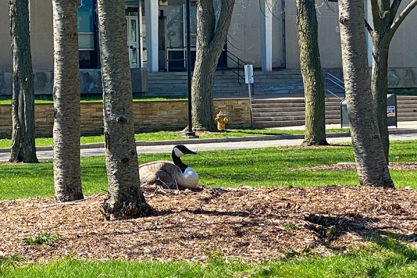 DailyNews Issue for Wednesday, Jun 11th, 2025 | DailyNews