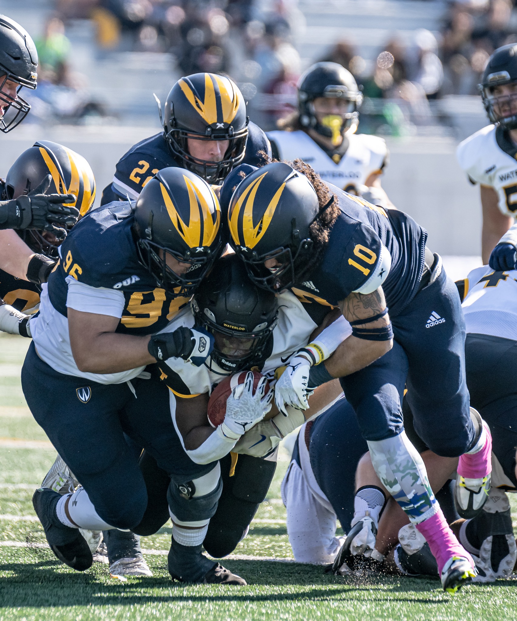 Lancer Football Friends and Family Golf Classic | Kinesiology