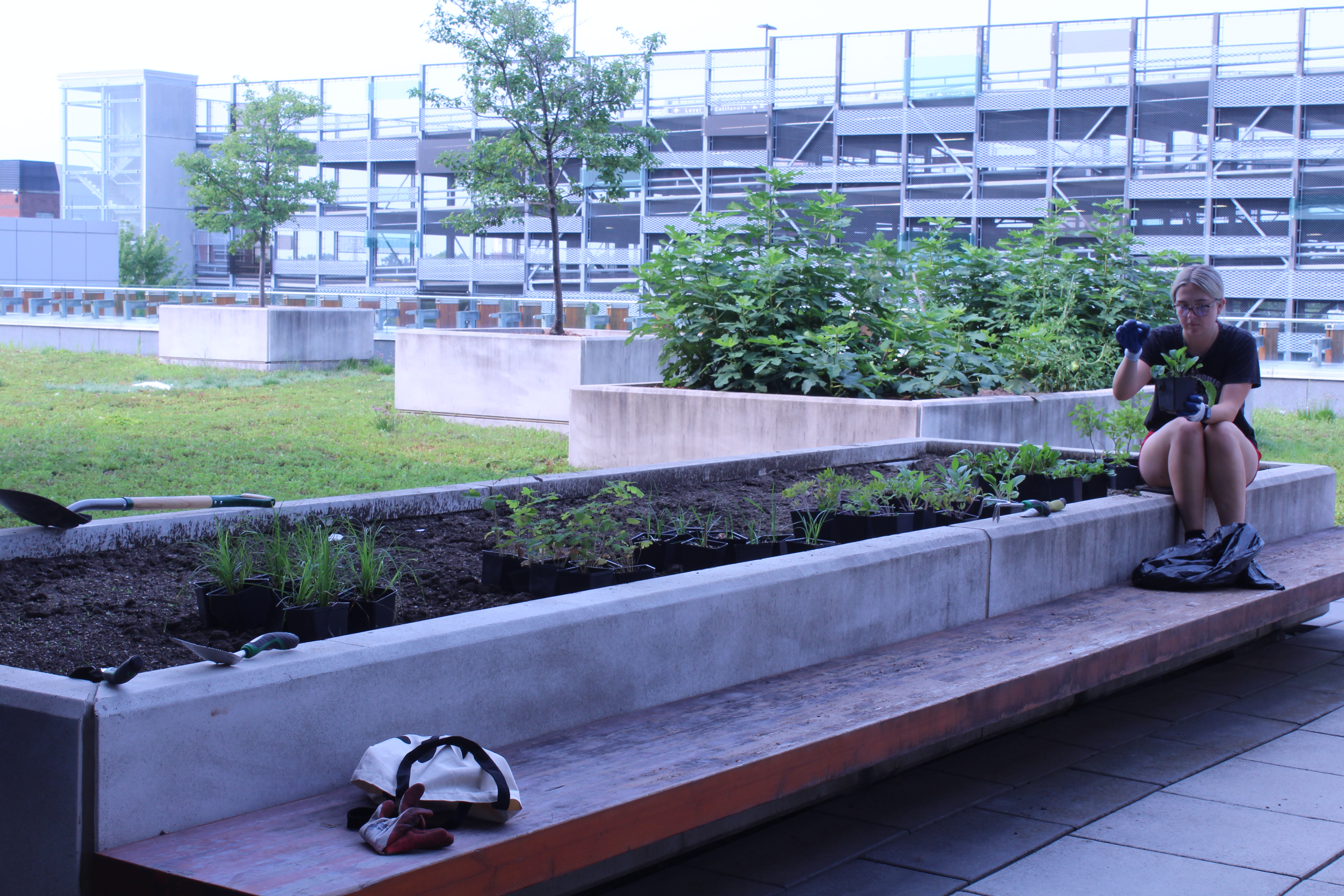 Native Plant Garden and Seed Orchard | Faculty of Science