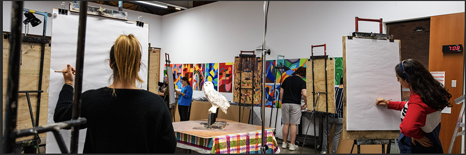 Lisa Baggio | SoCA Visual Arts