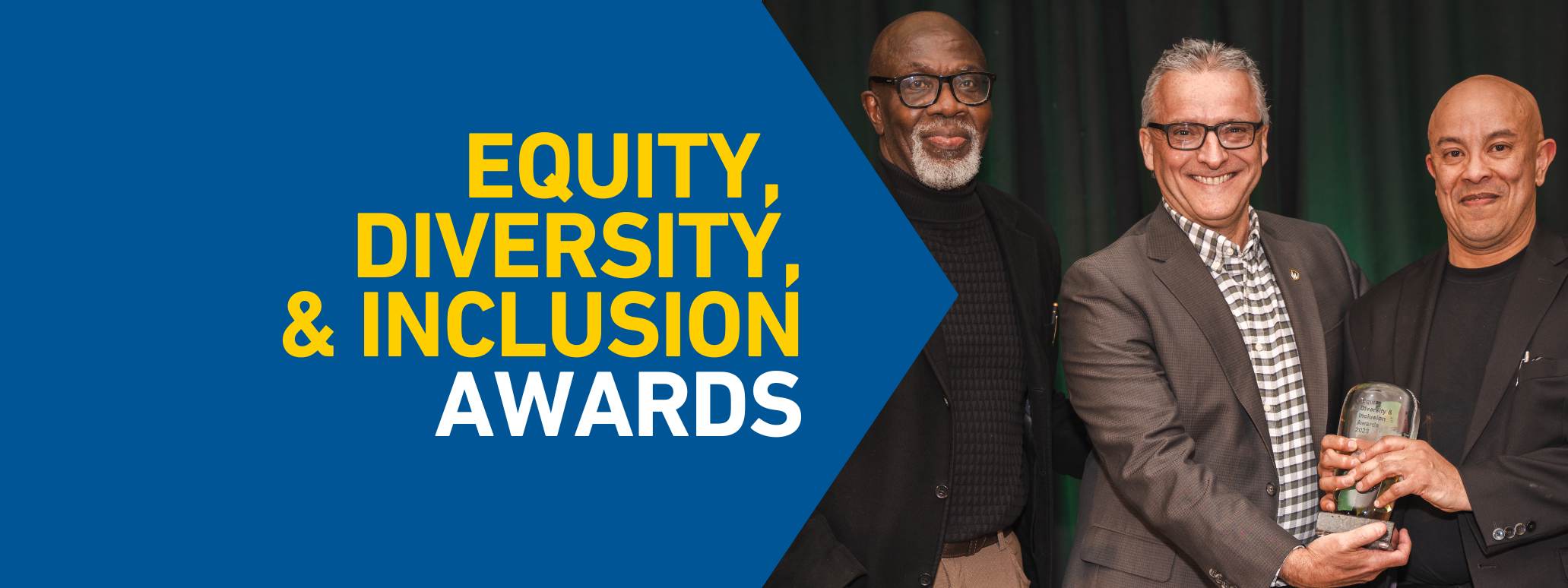 Equity, Diversity, & Inclusion Awards | Office of the Vice-President ...